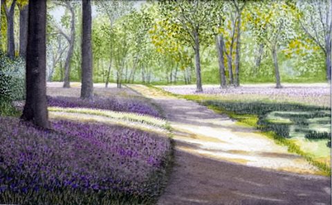 Winkworth Arboretum Surrey – Artist John Bunce Woking Society of Arts ...