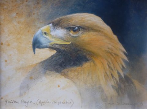 David Deamer | Surrey Artists Art Galleries