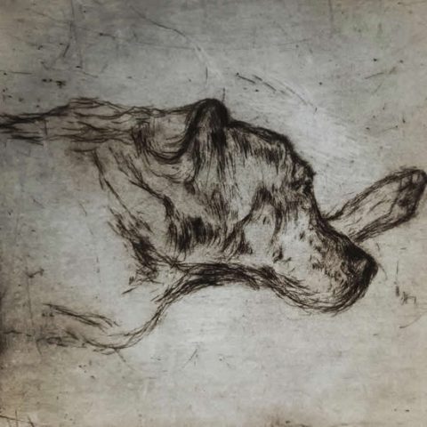 Dog Portrait – Drypoint Art – Surrey Artist Justin Norcott | Surrey ...