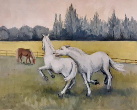 White Ponies Playing – Oil Painting by Surrey Equestrian Artist ...