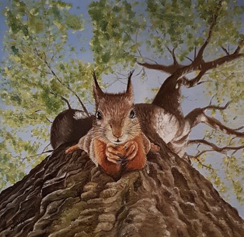 Squirrel Oil Painting – Croydon Art Society Animal Artist Mandy Gomm ...